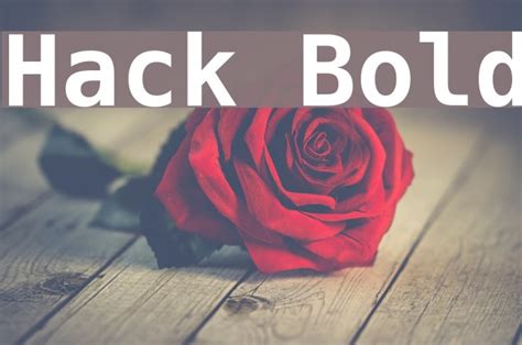 Hack Bold Font FFonts Net Hack Bold Font FFonts Net