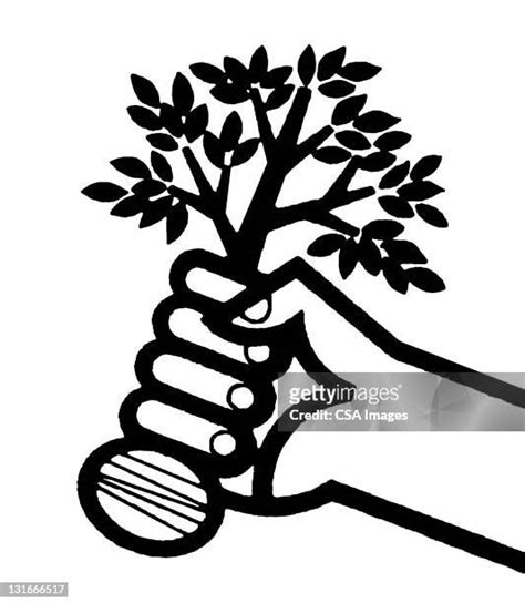 Hand Tree Icon Photos And Premium High Res Pictures Getty Images