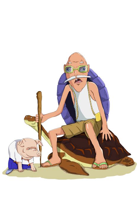 The Turtle Hermit R Dbz