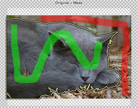How To Remove Background Of An Image Online Without Using Photoshop Tutorials By SWA Learn