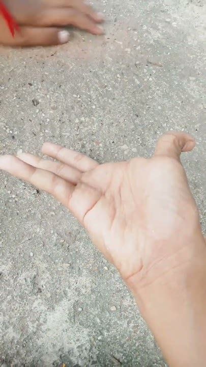 ၂၀၂၄၊ ၃၀ မေ Youtube