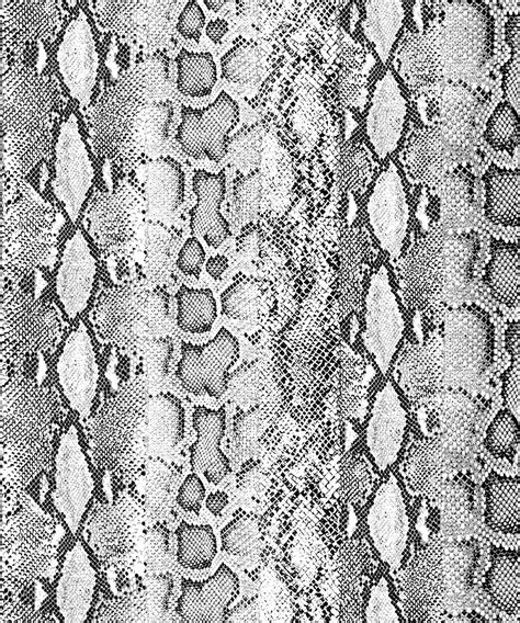 Snake Skin Pattern Animal Print Wallpaper Snake Wallpaper 54 Off Snake Skin Pattern Animal Print Wallpaper Snake Wallpaper 54 Off