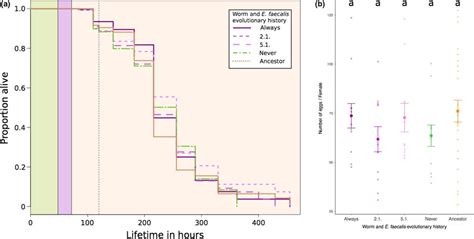 Long‐term Survival And Fecundity Of Enterococcus Faecalis‐colonized Download Scientific Diagram