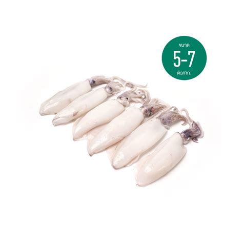 ปลาหมึกกล้วยลอกหนัง ขนาด 5 7 ตัว กก น้ำหนักเนื้อ 80 90 Freshket