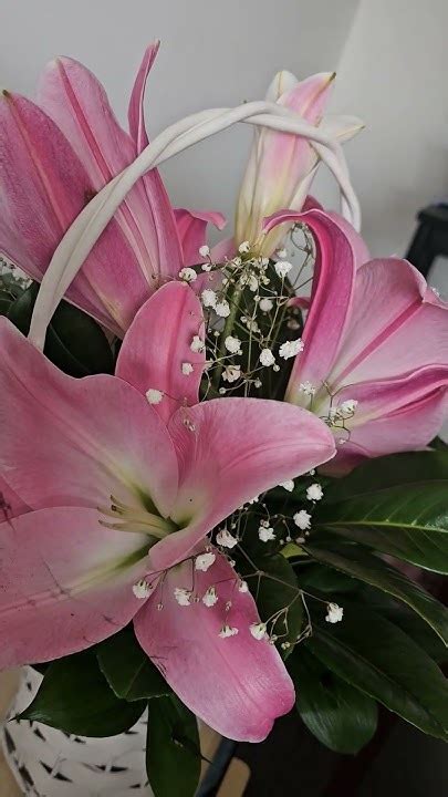 Поздравляем всех женщин девочек девушек с 8 марта ️ 8march 8марта