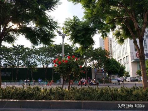 雲天收夏色木葉動秋聲又是一年立秋季 每日頭條