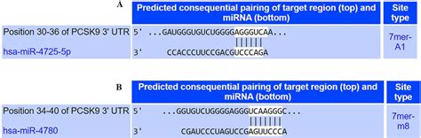 Schematic Representation Of Bioinformatics Analysis Showing Predicted