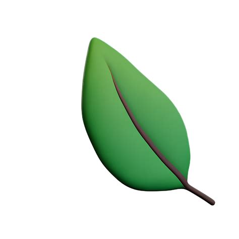 Leaf 3d Illustration Icon 28213197 Png
