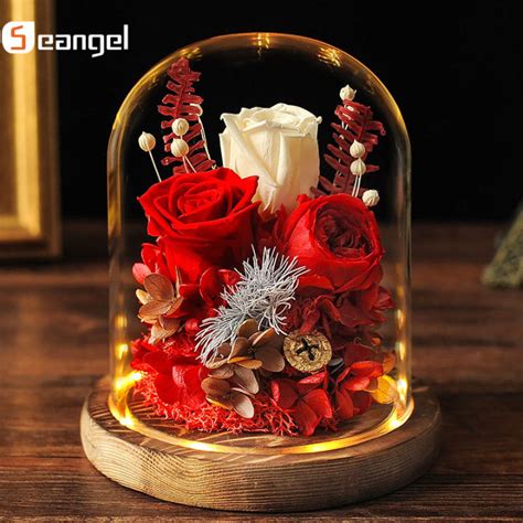 Seangel Valentine S Day Gift Preserved Fresh Flower Last Years Dried Flower Beauty And The