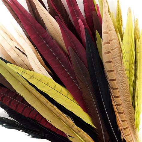 Assorted Harvest Mix Dyed Pheasant Tails Buy Craft Tail Feathers