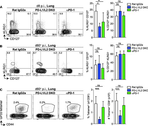 Transient Early Blockade Of The Pd 1 Pathway Does Not Result In The Download Scientific Diagram
