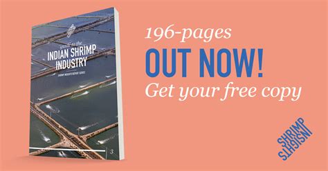 The Guide To The Indian Shrimp Industry Shrimp Insights