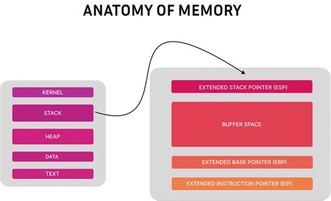 Exploit Development Buffer Overflows Dev Community