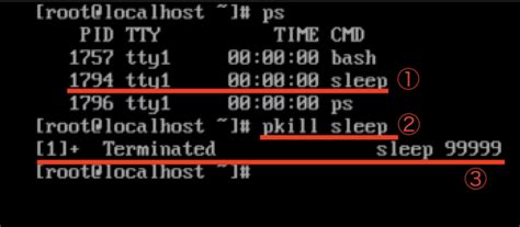 Linux指定したプロセスを終了させるコマンドpkill Marusuke s Blog