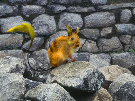 Real Raichu By Roxastsuna On Deviantart