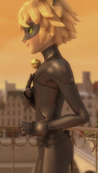 Cat Noir Miraculous Ladybug S5 Elation