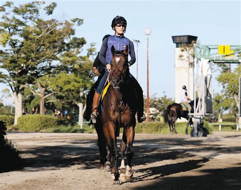 レーベンスティール、”馬肥ゆる秋”たくましく成長した姿で古馬王道路線に参戦だ【オールカマー】：中日スポーツ・東京中日スポーツ