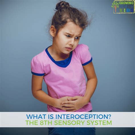 What Is Interoception The 8th Sensory System Autism Sensory Sensory