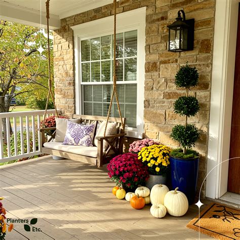 How To Plant And Care For Mums The Full Planters Etc Guide