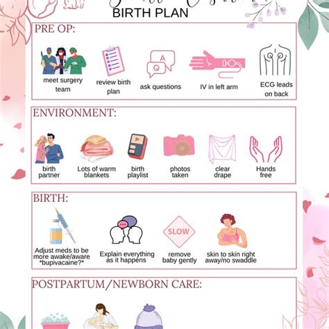 Vbac Birth Plan Template Printable Birth Plan Natural Birth Plan Birth