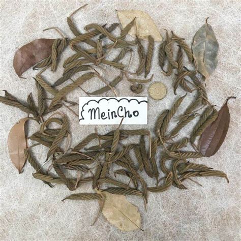 5 Biji Rempah Kolase Biji Kayu Ules Kayu Ulir Ules Ules Properti Foto