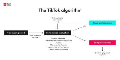 What Is The Tiktok Algorithm Your Guide To Staying Ahead