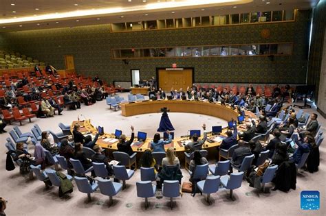 Security Council Renews Mandate Of Un Peacekeeping Mission In Dr Congo