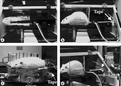 Figure 1 From A Modified Technique For Tail Cuff Pressure Measurement