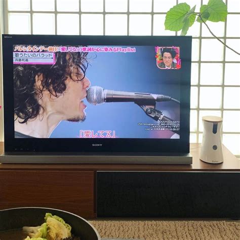 市橋有里さんのインスタグラム写真 市橋有里instagram「春の食材が出始めましたね♪ ほろ苦い山菜や桜海老やそら豆。 可愛い食材が