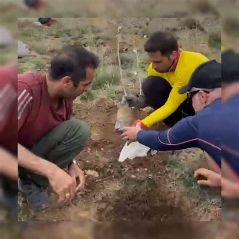 کاشت نهال داغداغان بر چکاد آسیاب باد ، رسول ده باشی فروردین ۱۴۰۴ قله درختکاری Youtube