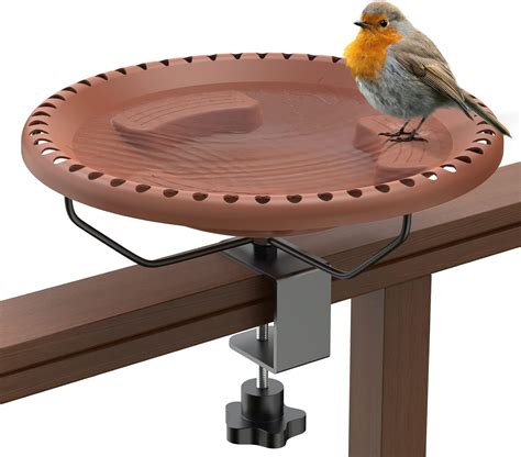 Bird Bath Insert At Adrienne Maldonado Blog