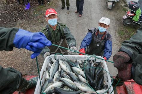 浙江湖州：牵手 互联网” 销售 零接触” 人民图片网