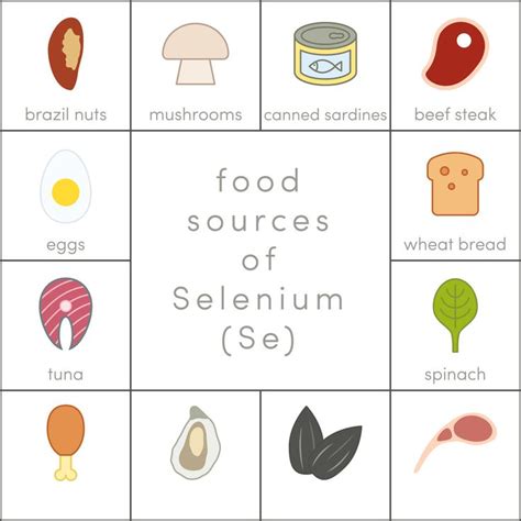6 Reasons To Try Selenium Selenium Benefits Selenium Selenium
