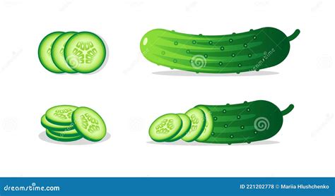 Cucumber Vector Illustration Set 221202778