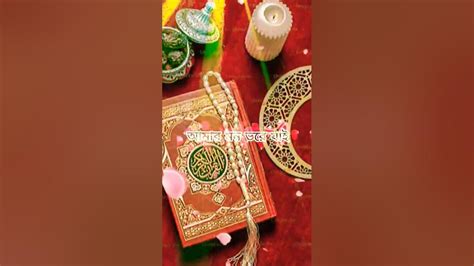 কুরআন মধুর বানী এই 📖📖📖 এইটা আল্লাহর দেওয়া সব থেকে বড় নিয়ামত