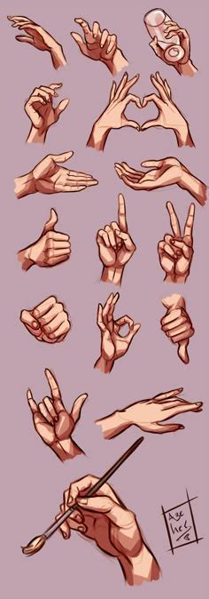 Ideas De Tipos De Manos Manos Dibujo Como Dibujar Manos Dibujos Figura Humana