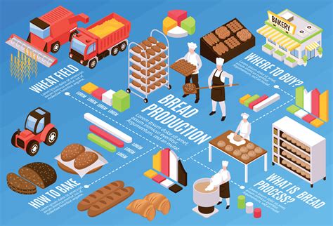 Bread Production Flowchart Vector Art At Vecteezy
