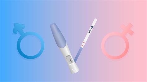 Vector Illustration Of Pregnancy Tests On The Background Of Gender