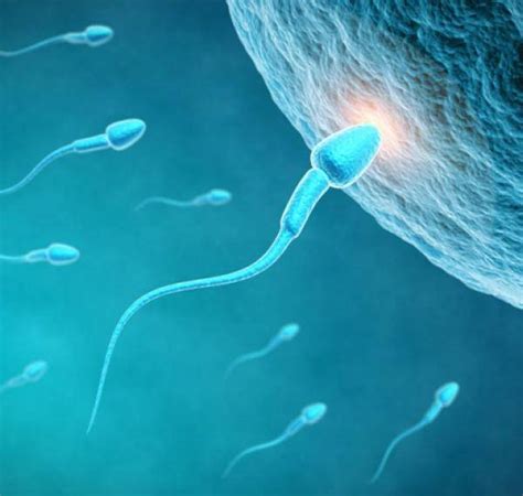 Ginecólogo Concibió 17 Hijos Donando En Secreto Su Esperma