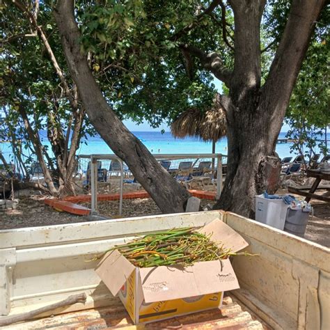 Ryan De Jongh On Linkedin 🌱💯