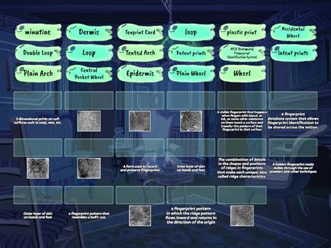 Fingerprints Match Up