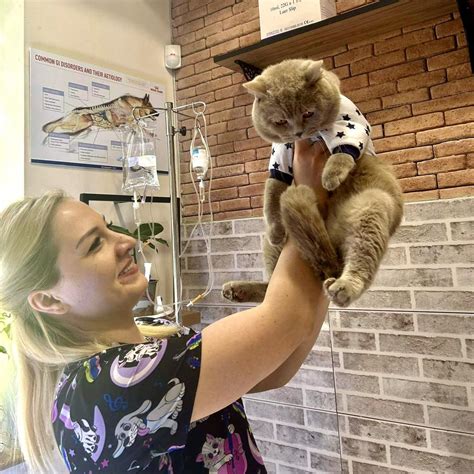 ჩვენი თინა ექიმი ♥️ გვეწვიეთ📍ჟიული შარტავას 18 ში 🕒ვმუშაობთ 24 7 📞511206640 ვეტერინარული