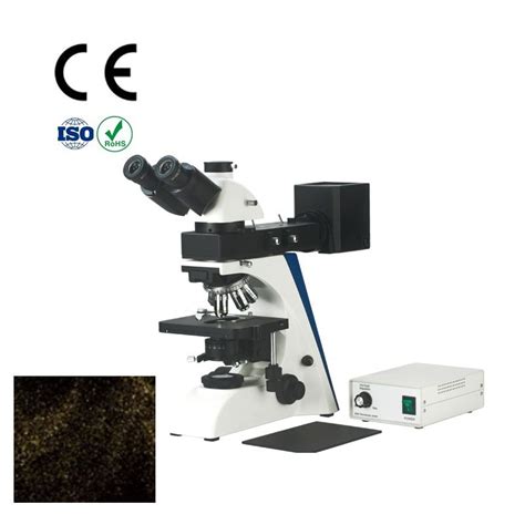 Compound Laboratory Biological Optical Microscope Infinity Biologcal