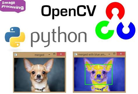 Opencv Python Image Processing Tutorial Opencv Image Processing Bilarasa