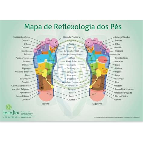 Tapete Massageador Reflexologia Podal Pedras Para Terapia Dos Pés