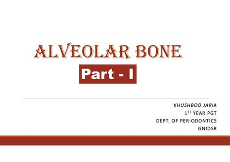 Alveolar Bone Part 1 Definition Classification Development Structure And Histology Ppt