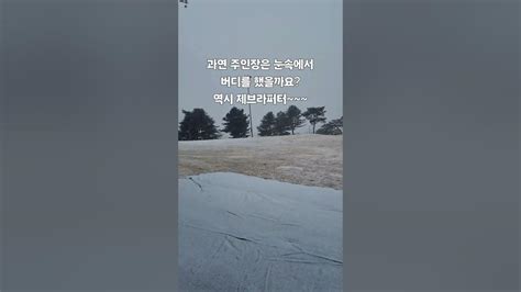 발리오스cc 봄날 폭설 라운딩 주인장은 과연 버디를 했을까요 Youtube