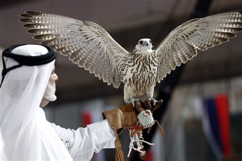 El Halcón Milenario De Qatar 2022 Turismo Lujo Y Tradición « Diario