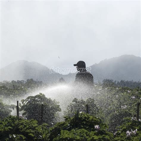 Fotografer Net Galeri Proses