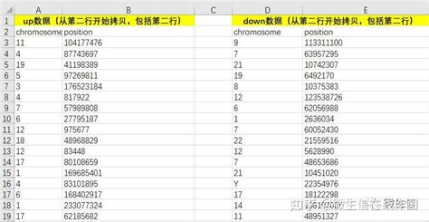 Chip Seq，merip Seq峰（peak），eccdna等染色体分布可视化 知乎